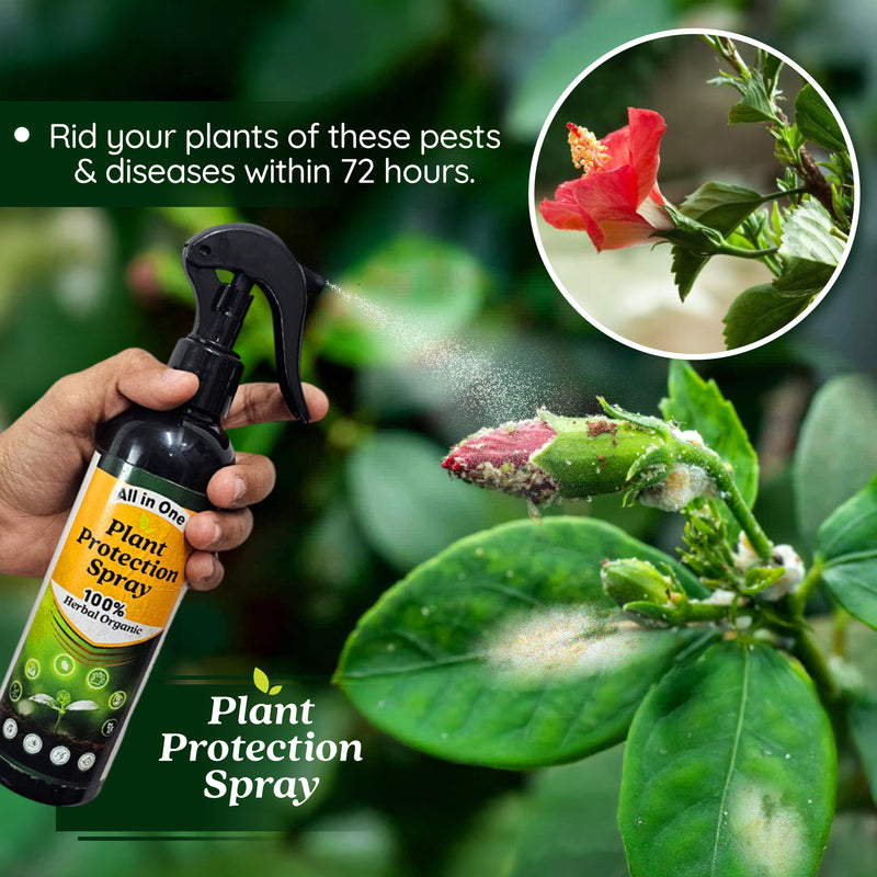 PlantShield™ - All in One Plant Protection Spray 🌿🛡️(Buy 1 Get 1 Free🔥