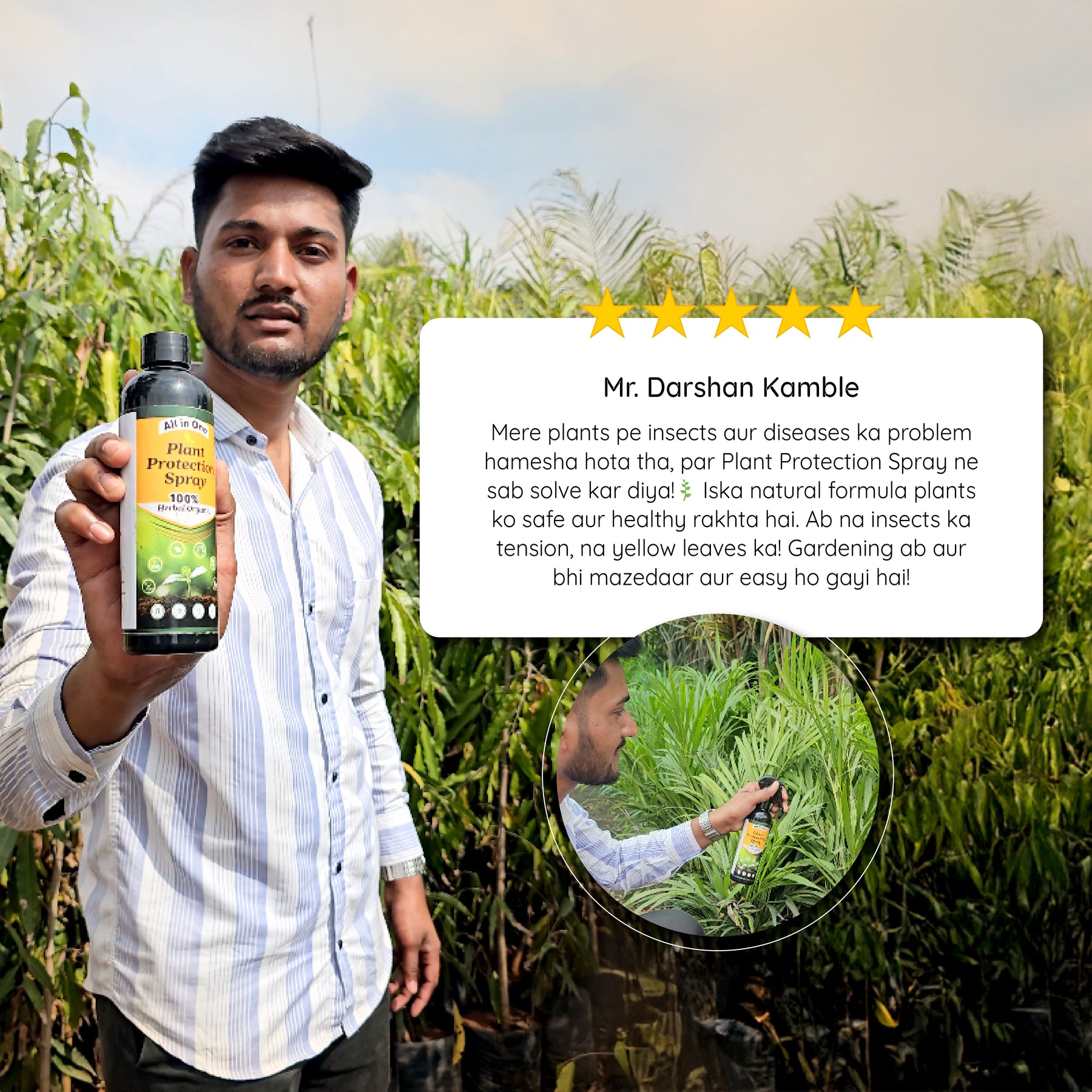 PlantShield™ - All in One Plant Protection Spray 🌿🛡️(Buy 1 Get 1 Free🔥