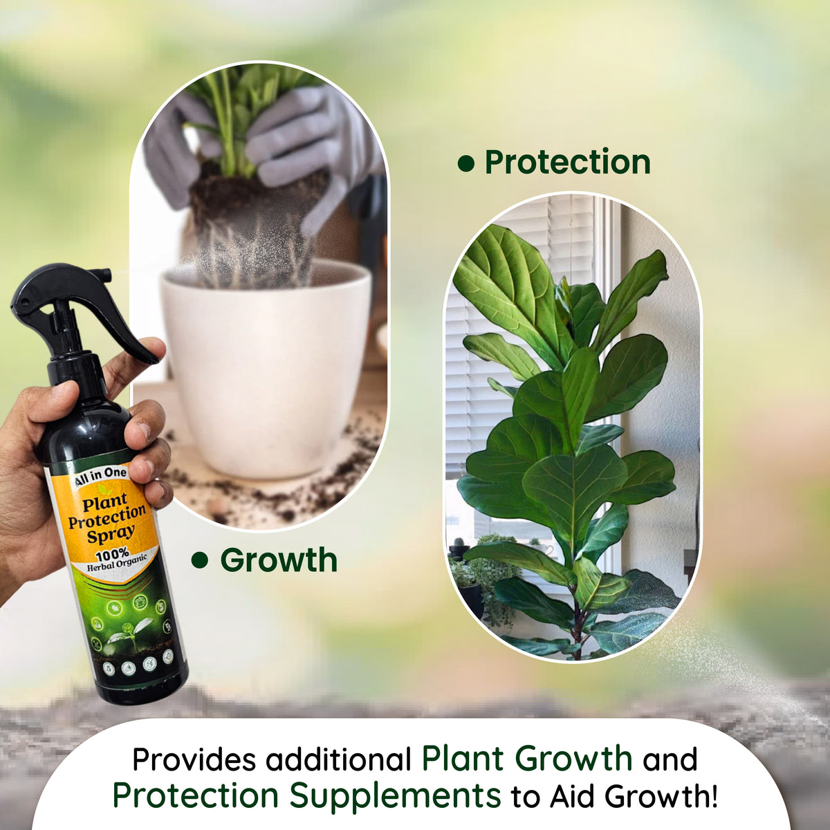 PlantShield™ - All in One Plant Protection Spray 🌿🛡️(Buy 1 Get 1 Free🔥